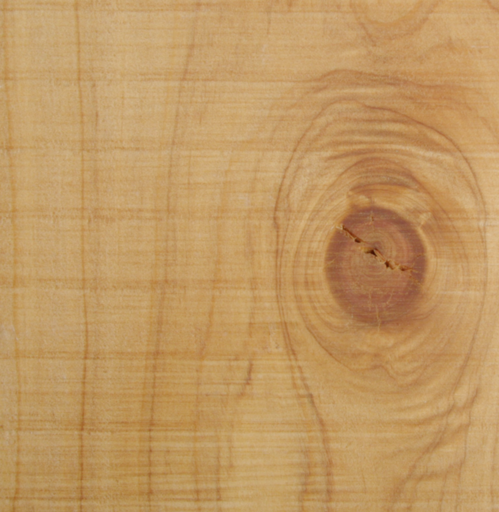 NZ Natural Timber Co. | Macrocarpa-Species-Sample