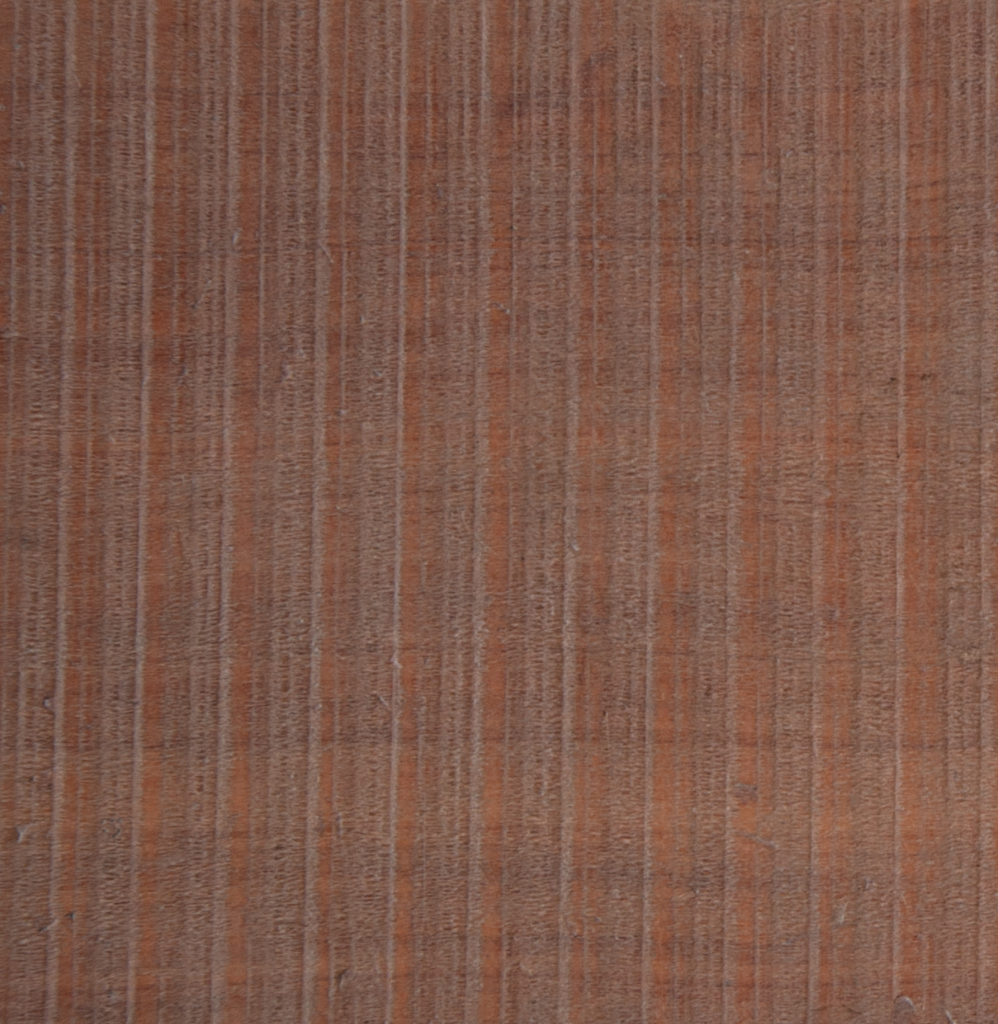 NZ Natural Timber Co. | Macrocarpa-Species-Sample