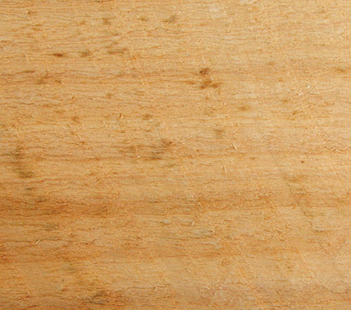 NZ Natural Timber Co. | Macrocarpa_Cadding_Natural_Crop